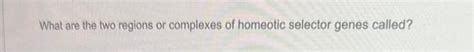 Solved What Are The Two Regions Or Complexes Of Homeotic
