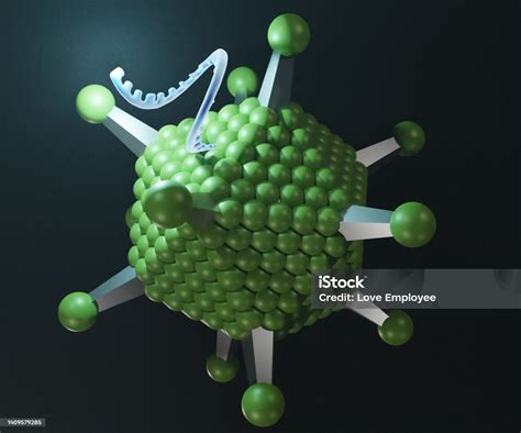 Morfologi Polihedral Virus Dengan Dna Untai Tunggal Atau Rna Foto Stok