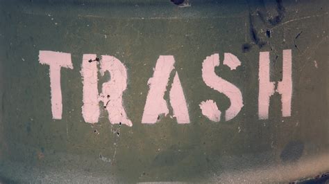 What Is Spatial Scale In Ecology Ecology Today