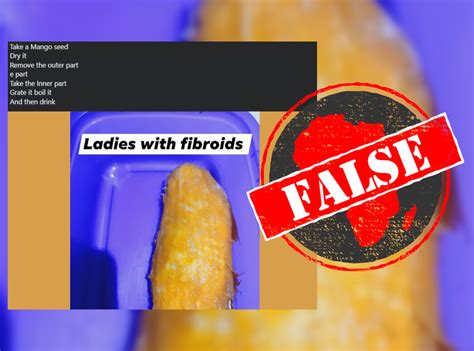 No Proof That Mango Seeds Can Cure Fibroids Africa Check