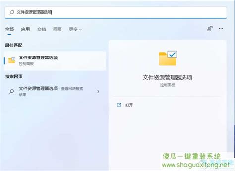Win11怎么修改文件后缀？win11中修改文件后缀的方法介绍傻瓜一键重装系统