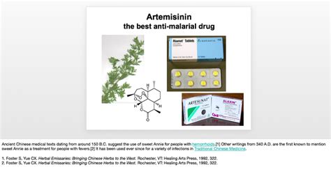 Ppt引用文献格式应该是怎样？ 知乎