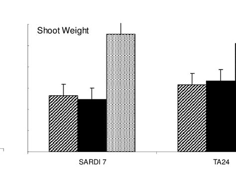 Root And Shoot Weight Of Acid Aluminium Tolerant Strain Ta24 And