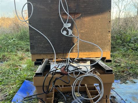 Beestial Embedded System Project