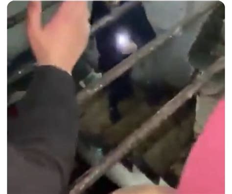 بالاترین خبر اختصاصی درب مخفی ورودی طبقات زیرین زندان صیدنایا پیدا شد