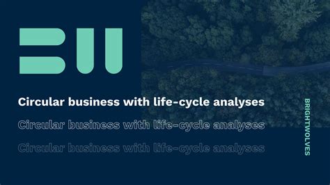 Making Your Business Circular Life Cycle Analyses As A First Step