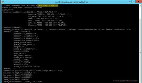 Vmware Vcloud Director Rabbitmq Install Part 2