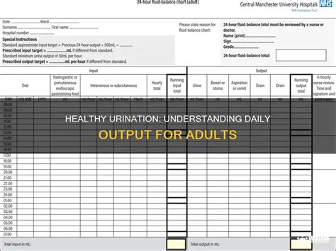 Healthy Urination Understanding Daily Output For Adults Medshun