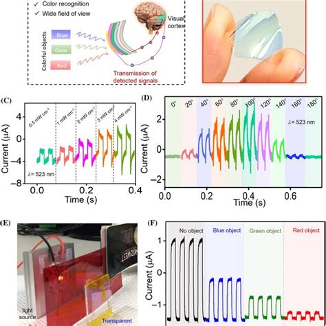 A Schematic Of The Device Fabricated On A Flexible Substrate
