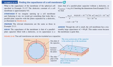 Answered Finding The Capacitance Of A Cell Bartleby