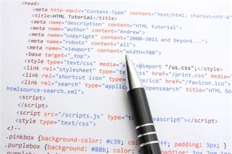 What Are The 4 Basics Of Coding A Beginners Guide To Core Concepts Zorgle