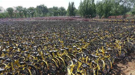 Spotlight Of A Bike Graveyard Abandoned Sharing Bikes Piled Up In