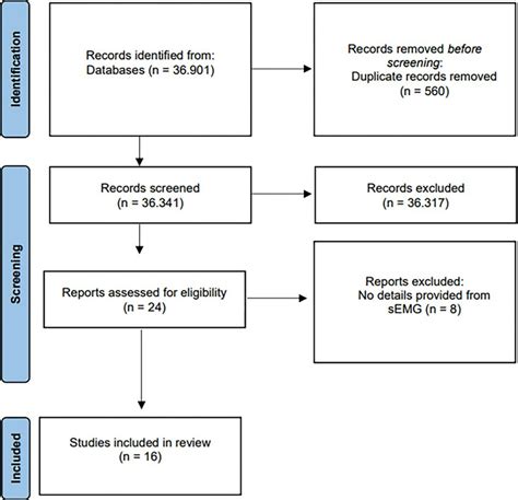 Identification Of Studies Through Databases According To Preferred