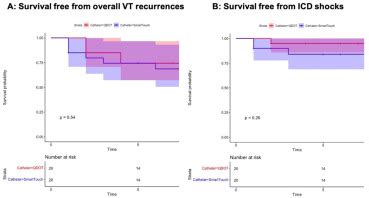 PO 05 041 CATHETER ABLATION OF VT USING THE QDOT MICRO CATHETER A PROPENSITY MATCHED DUAL