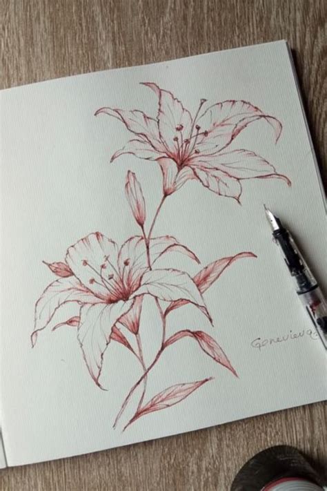 Descubre 75 Ideas De Dibujos A Plumas Y Dibujo A Pluma En 2025 Arte