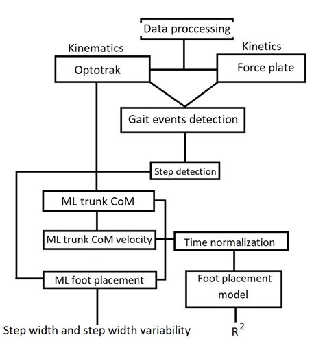 Flow Of Data Processing Adopted In This Study Download Scientific Diagram