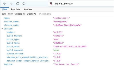 How To Deploy An Elasticsearch Cluster On Ubuntu Server 20 04