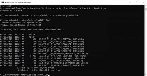dbrecover for oracle recovery scenario ransomware malware encrypts and