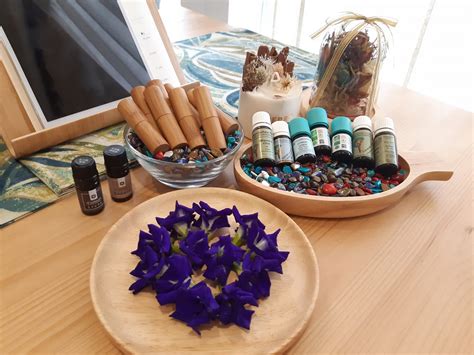 鄭詩錡 按摩教學 今天採了好多碟豆花，這個顏色真的好美喔！自己栽種的樂趣就在可以看它每天的變化，有時茁壯，有時枯萎，適時的去調整它的水分和日照的位子，慢慢的可以掌握它們的節奏了。 沒有客人