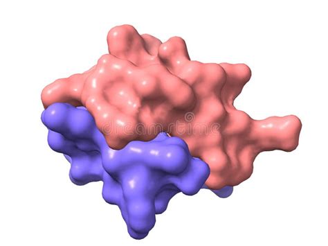 Tertiaire Structuur Van Humaan Vitamine D Bindend Eiwit Met De