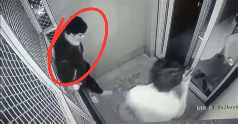 Joven Muere Al Caer De Un Balcón Por Recargarse En El Lugar Equivocado