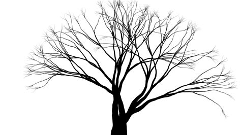 利用JavaScript在canvas中画一棵树 吴锴的博客