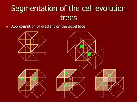 Ppt 4d Numerical Schemes For Cell Image Segmentation And Tracking Powerpoint Presentation Id