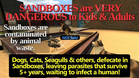 Sandboxes NOT Safe D Health