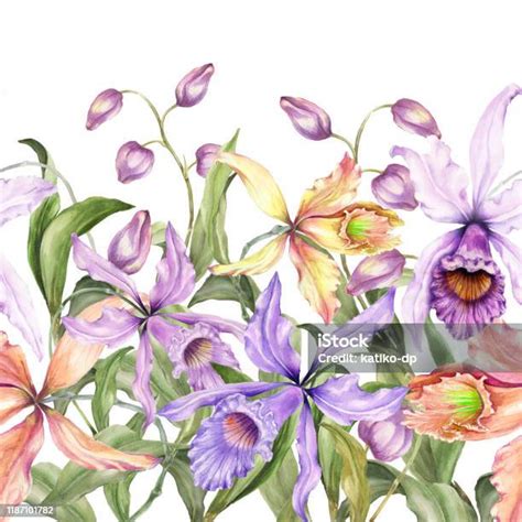 아름다운 이국적인 난초 꽃 와 몬스타 잎 흰색 배경에 매끄러운 열대 꽃 무늬 테두리 직물 벽지 침대 린넨 인사말 카드 디자인 개화기에 대한 스톡 벡터 아트 및 기타 이미지