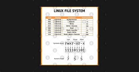 Linux File System Hierarchy Chart Visual Guide For Developers Linux