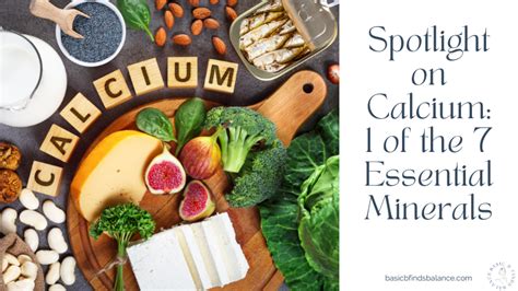 Spotlight On Calcium 1 Of The 7 Essential Minerals Basic B Finds Balance