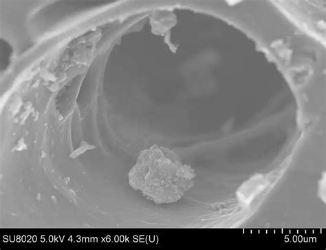 The Pore Structure Of Activated Carbon Macropore Henan Shangchen New