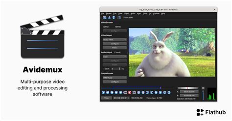 Install Avidemux On Linux Flathub