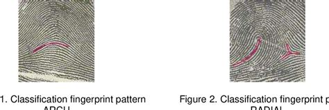 Figure 1 From Biometrics Authentication Of Fingerprint With Using Fingerprint Reader And