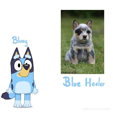 73 Ideas De Bluey Perros De Disney Dibujos Bonitos Pegatinas Bonitas
