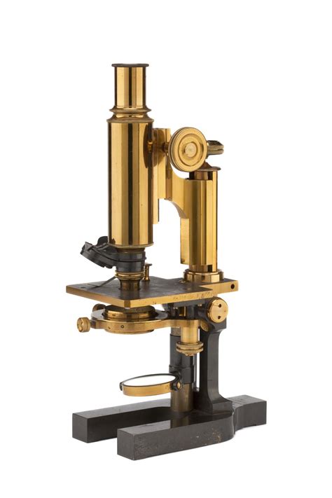 Compound Microscope Science Museum Group Collection