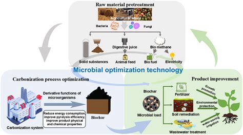 Application Of Functional Microbial Optimization Technology To The Full Download Scientific