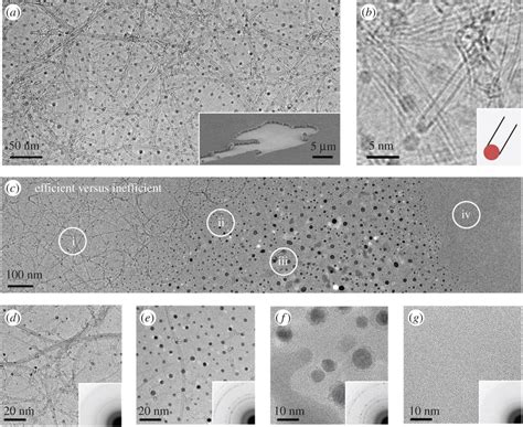 A B Representative TEM Images Of Catalyst Particles On SiO2 Grid Download Scientific Diagram