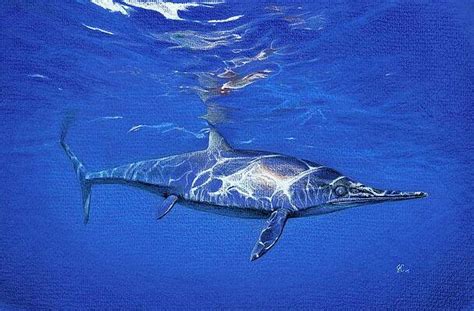 Ichthyosaurus Wall Art For Sale Pixels