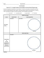 Lab 3 Handout Exercise 1 4 1 5 Docx Name TA Lab Period Lab 3 Handout Exercises 1 4 1 5