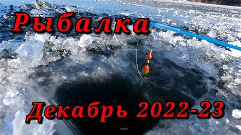 РЫБАЛКА НА ПОПЛАВОК В ДЕКАБРЕ! Дикие поклёвки рыб на зимней реке. - YouTube