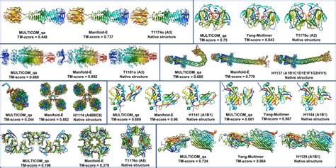 Enhancing Alphafold Multimer Based Protein Complex Structure Prediction With Multicom In Casp15
