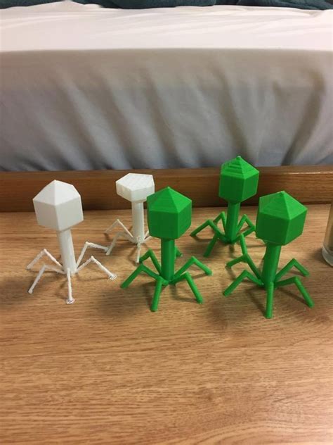 Bacteriophage Virus 3d Model