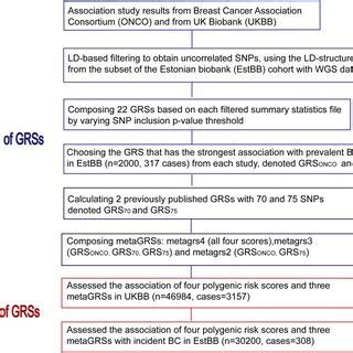 Workflow Describing Both Derivation And Validation Of GRSs Download Scientific Diagram