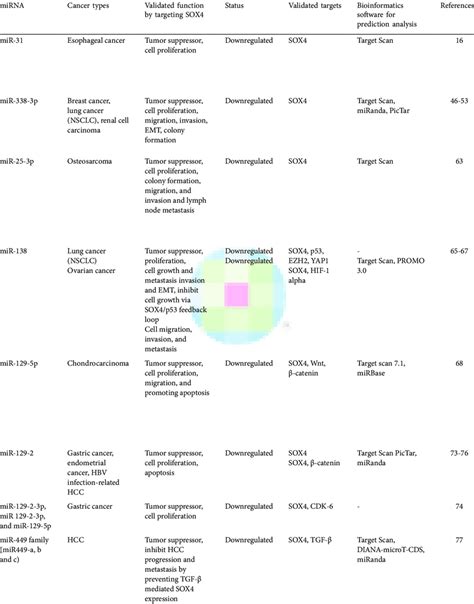 Micrornas That Directly Regulate Sex Determining Region Y Box In Download Table