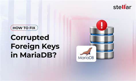 How To Restore Old Mysql Databases To New Xampp Installation