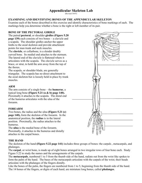 Appendicular Skeleton Lab