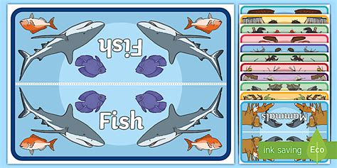 👉 Animal Classes Group Table Signs Nauczyciel Wykonał