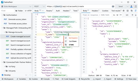 Nativerest Native Rest Api Client For Windows Macos And Linux