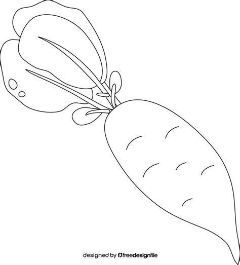 Radish With Leaves Black And White Clipart Free Download